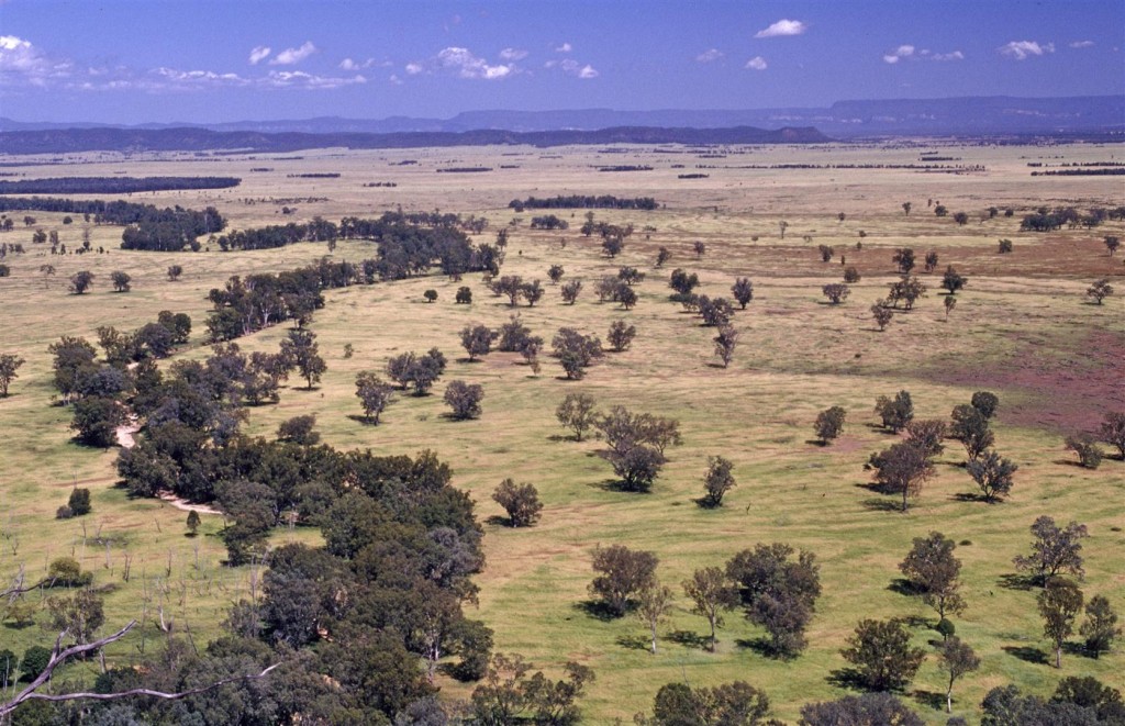 Nuga Nuga National Park